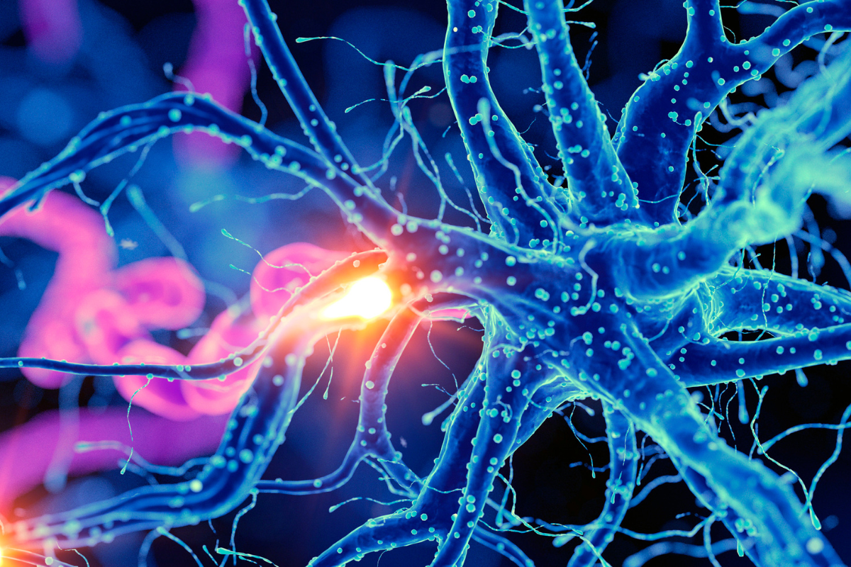 Neurology – MINIMAL ACCESS SURGERY. LAPAROSCOPY & ENDOSCOPY